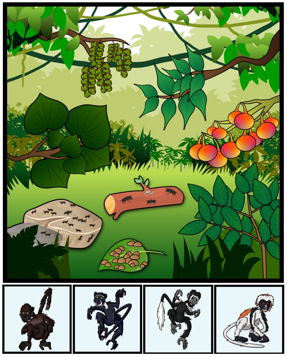 CDL Graphics Portfolio - UCF